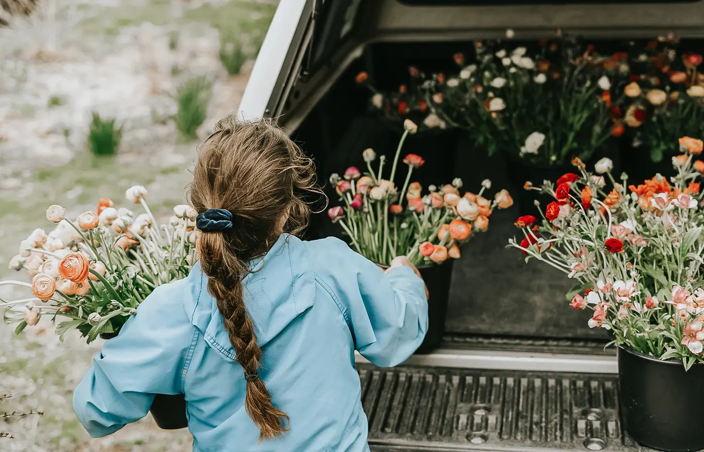 The Rise of Sustainable Floristry: How Eco-Friendly Practices Are ...